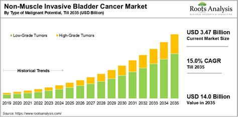 Non Muscle Invasive Bladder Cancer Market Size And Growth