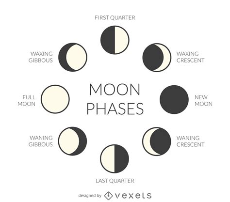 Phases Of The Moon Template
