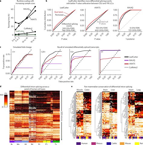 A Comparison Of Methods For Detecting Differential Splicing A The Download Scientific Diagram