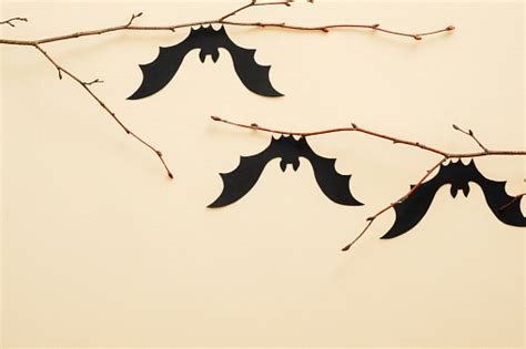 파스텔 베이지 색 배경에 할로윈 종이 장식입니다 나뭇가지에 앉아 검은 박쥐 할로윈 개념입니다 플랫 레이 상단 보기 복사 공간 0명에 대한 스톡 사진 및 기타 이미지 Istock