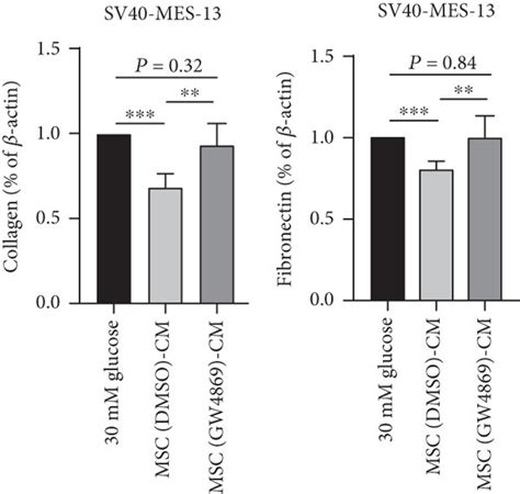 Muc Msc Conditioned Medium Lacking Exosomes Abolishes The Inhibitory