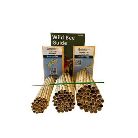 Diy Wild Bee Pollinator Set