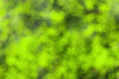 Green Tree Background Stock Photos Images And Backgrounds For Free Download