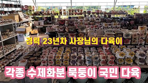 대규모 하우스 이쁜 묵둥이와 화분들이 넘처나는곳 이쁜이들 집합소 국민이 묵둥이 창 다육이 자연군생 수제화분 달콤한총각 Youtube