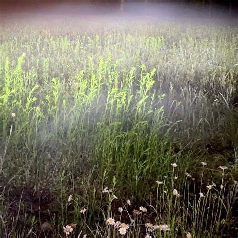 Spectral Shift Spectral Shift