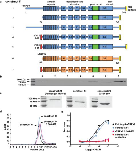 Optimization Of Constructs For Heterologous Expression And Download Scientific Diagram