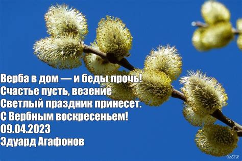 Создать мем вербное вербы весна пришла фото верба Картинки Meme