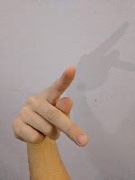 ASL Alphabet Dataset Object Detection Dataset And Pre Trained Model By ASL Dataset