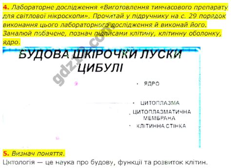 ГДЗ Біологія 7 клас Тагліна О В Самойлов А М 2024 рік Робочий зошит ГДЗ Готові домашні