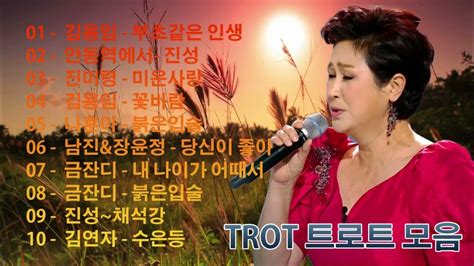 트로트 모음 100곡 광고없는💖 신나는 트로트 메들리 2시간💃 김용임 And진성 And주현미and 남진 And 장윤정 And진미령 💖 누구나