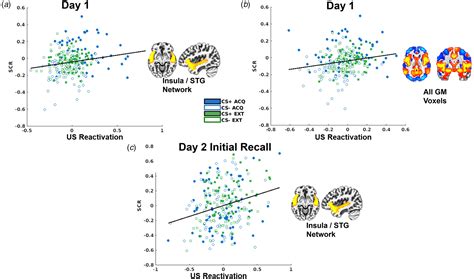 Decoding Neural Reactivation Of Threat During Fear Learning Extinction And Recall In A