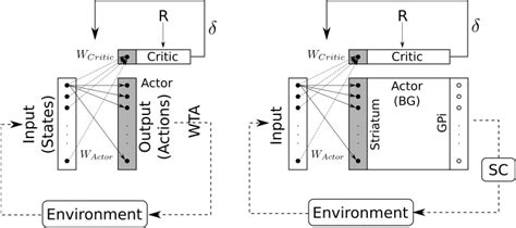 Schematic Representation Of The Actor Critic Reinforcement Learning