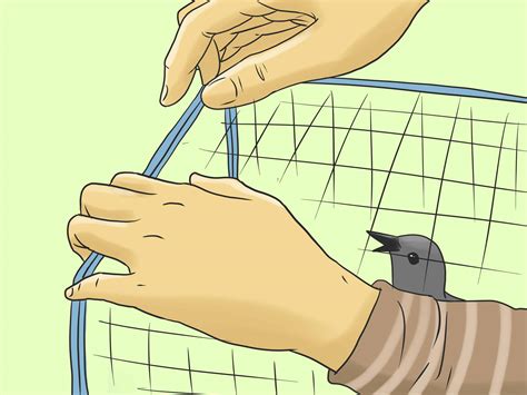 3 Ways To Protect Your Cherry Trees From Birds WikiHow