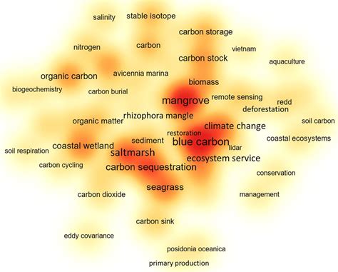 Density Visualization Map Of The Co Occurrence Keywords For Blue Carbon