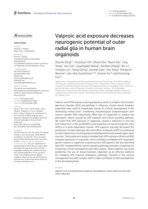 Pdf Valproic Acid Exposure Decreases Neurogenic Potential Of Outer Radial Glia In Human Brain