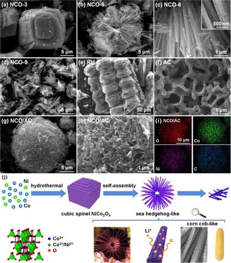 SEM Images Of Samples A NCO B C NCO D NCO E RH Download Scientific