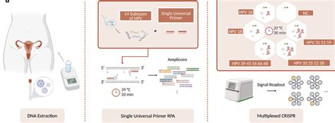 Programmable Multiplexed Nucleic Acid Detection
