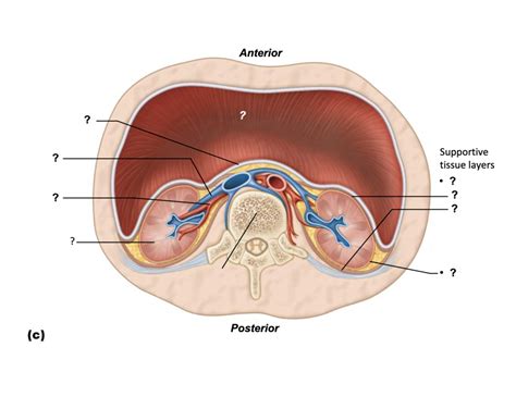 Lesson 9 Diagram Quizlet