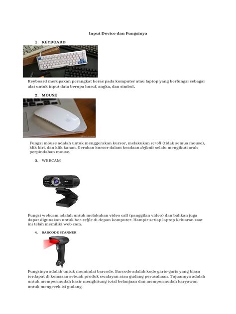 input device dan fungsinya pdf