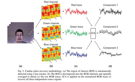 fourier transform getting the right frequency using fft signal