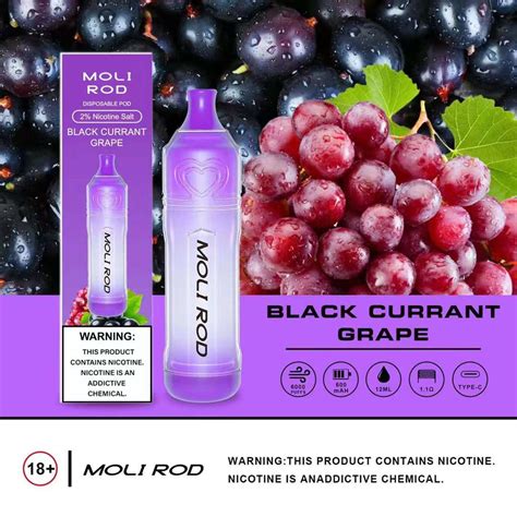 E Cig Kits E Cig Pod Kit E Cig Disposable Pod Kit Original Moli Rod Rechargeable