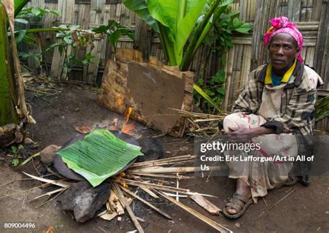 Gamo Zone Photos And Premium High Res Pictures Getty Images