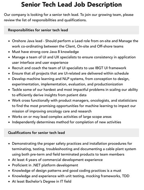 Senior Tech Lead Job Description Velvet Jobs