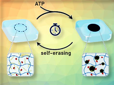 Chemistryviews On Twitter Atp Fueled Nanoparticles Enable Self