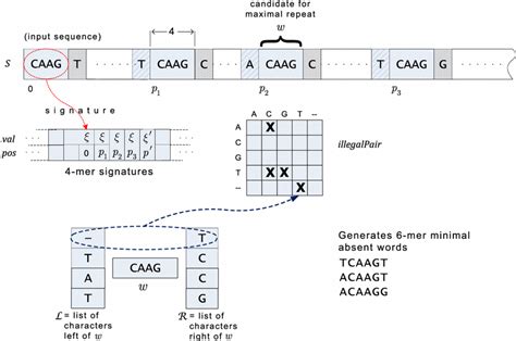 Example Illustrating How The Minimal Absent Words Are Generated Every