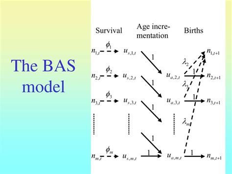 Ppt Embedding Population Dynamics Models In Inference Powerpoint Presentation Id5705046
