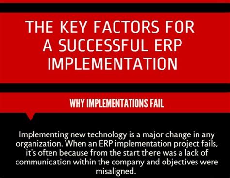 Erp Implementations Strategic Information Group Erp Programme Assurance