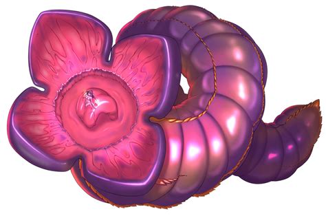 Tofa Full Body By Destinybetweenworlds By Redblaze27 On Deviantart