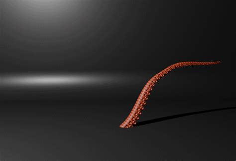 Tentacles Animation Test 4 Rigged By Mardoek50 On Deviantart
