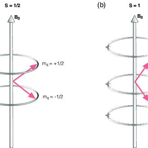 1 A Spin Doublet With Spin S ±1 2 And M S ±1 2 B Triplet With