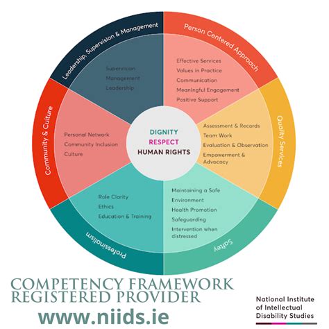 Competency Framework Registered Provider Niids Competency Framework Registered Provider Niids
