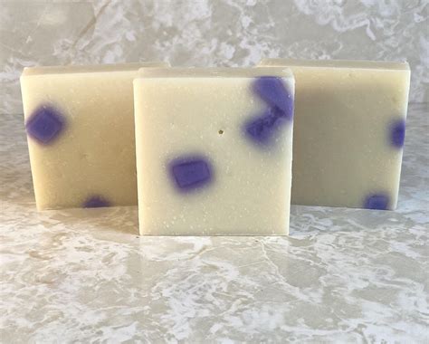 Black Raspberry Vanilla Soap