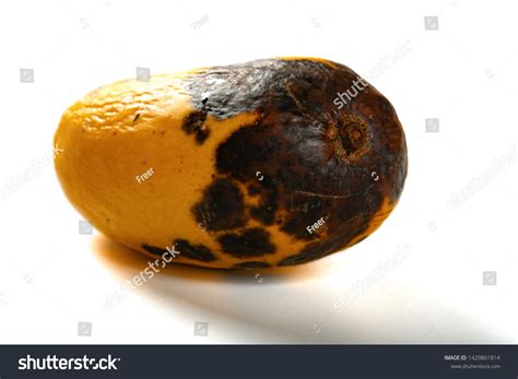 Rotten Mango Stock Photos Images Photography Shutterstock