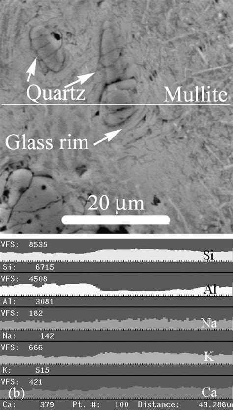 Typical Microstructure Of Porcelain Body In The Case Of P 3 Formulation Download Scientific