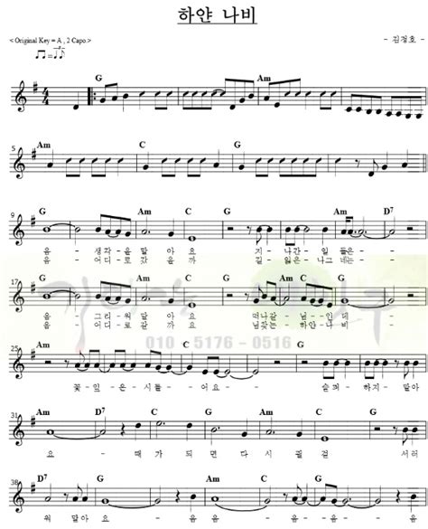 하얀나비 악보 김정호 네이버 블로그