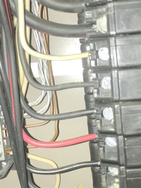 Dishwasher And Garbage Disposal Wiring Problem DoItYourself Community Forums