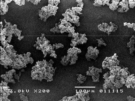 Three Main Particle Morphologies Download Scientific Diagram
