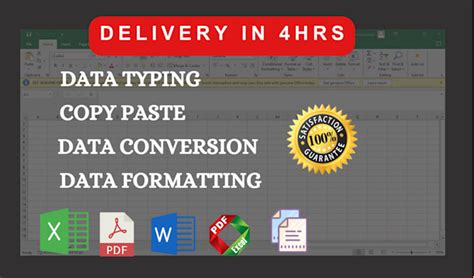 Do Excel Data Entry Copy Paste Data Data Formatting By