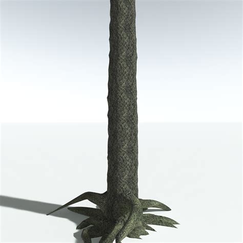 Everyplant Lepidodendron Aculeatum