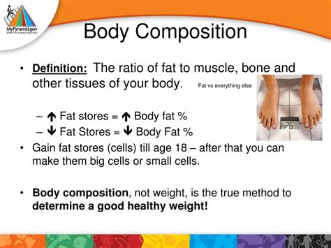 Ppt Body Composition And You Powerpoint Presentation Free
