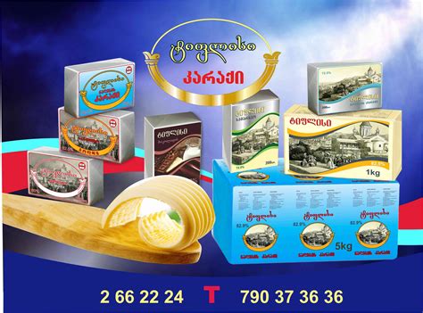 შპს ტიფლისი 2011 Tbilisi