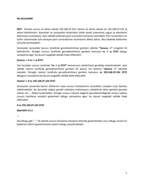 Pentest Netcat Pdf