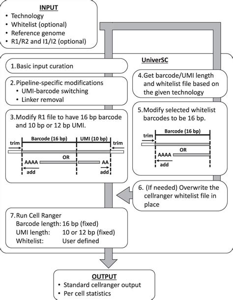 Multi Platform Universal Single Cell Rnaseq Data Processing Pipeline