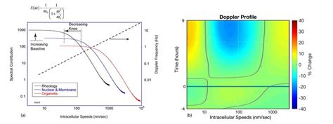 A A Schematic Of The Spectral Contributions From Three Assumed Download Scientific Diagram