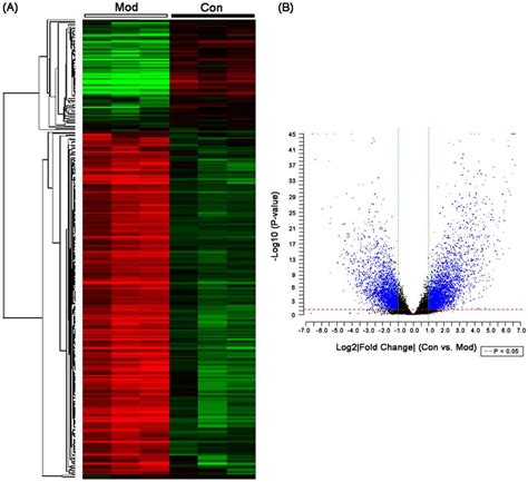 Unsupervised Hierarchical Clustering Analysis A And Volcanno Plot B Download Scientific