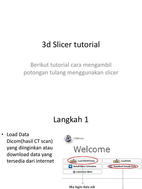 3d slicer tutorial pdf